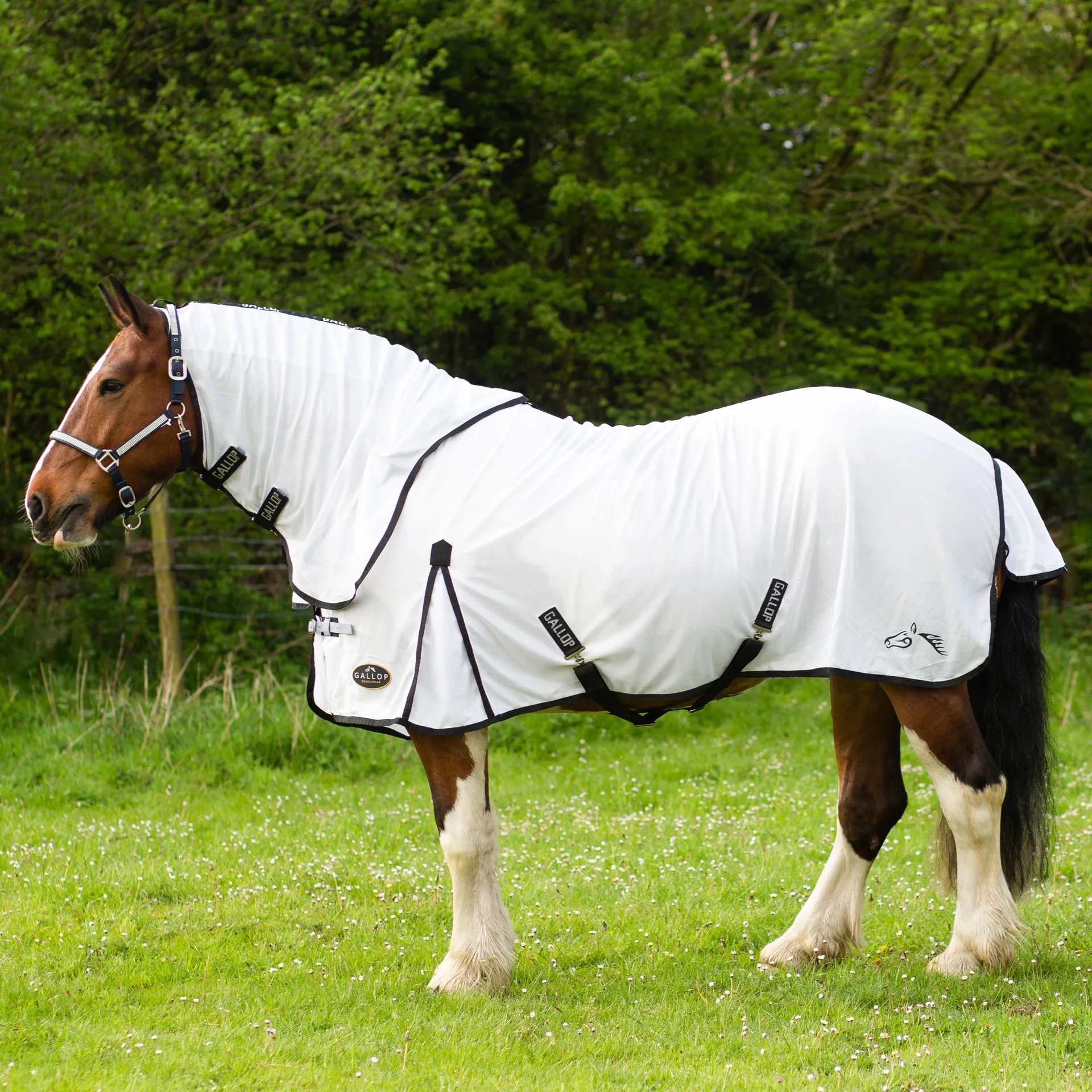 Fair Price Equestrian Gallop Fly Mesh Dual Rug and Neck Set-White
