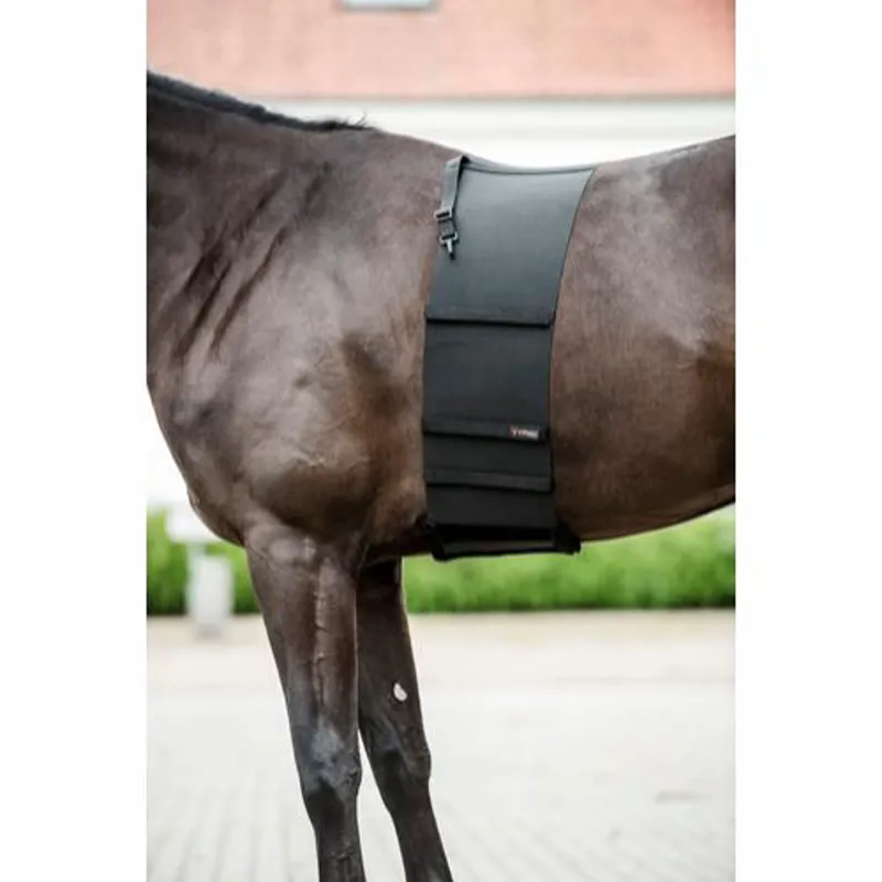 Fair Price Equestrian CATAGO Body Shield-Black