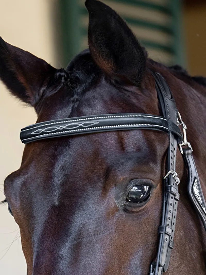 Fair Price Equestrian Jump Flash Bridle With Fancy Stitching-Bk